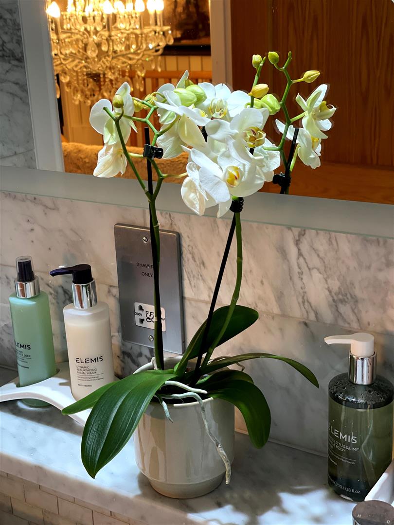 Properties for Sale - Dawsons - Estate Agents in Swansea and South Wales